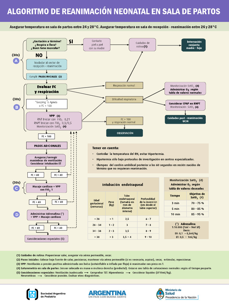 2. Alg. RCP Neonatal | PDF