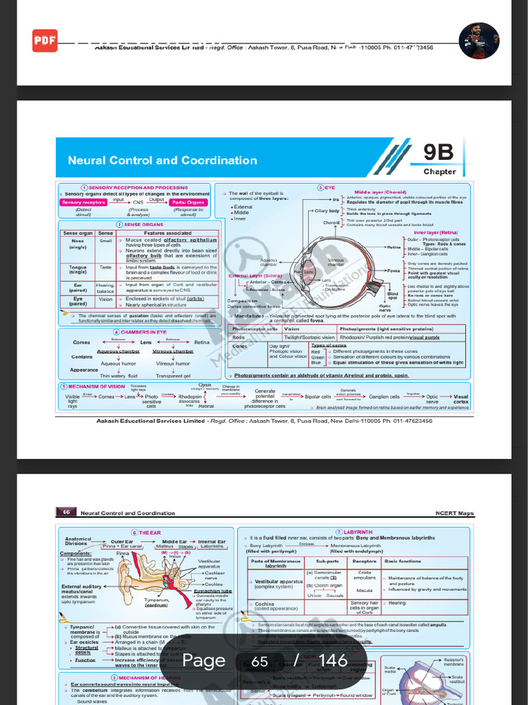 Neural Control & Coordination Guide | PDF | Ear | Eye