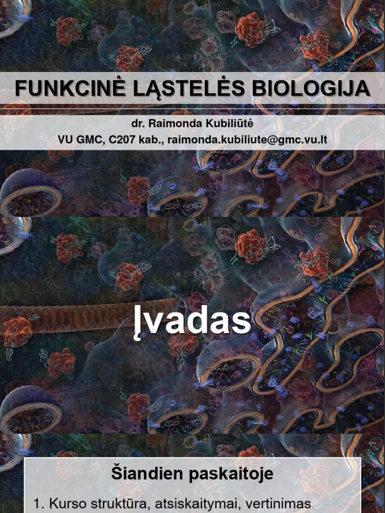 FBL24#1 - Įvadas | PDF