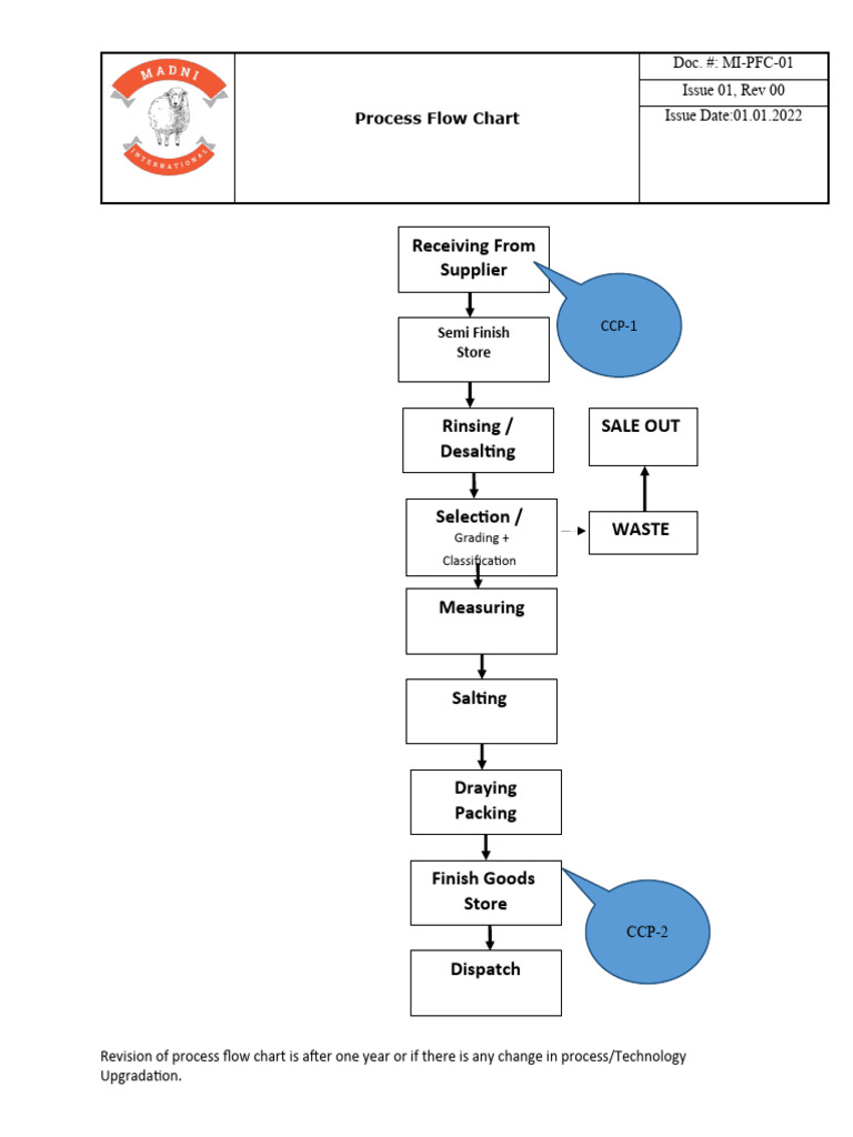5-PROCESS FLOW CHART | PDF