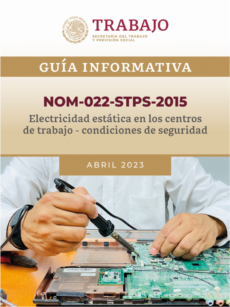 GUIA_INFORMATIVA_NOM-022_2 | PDF | Bienestar | México