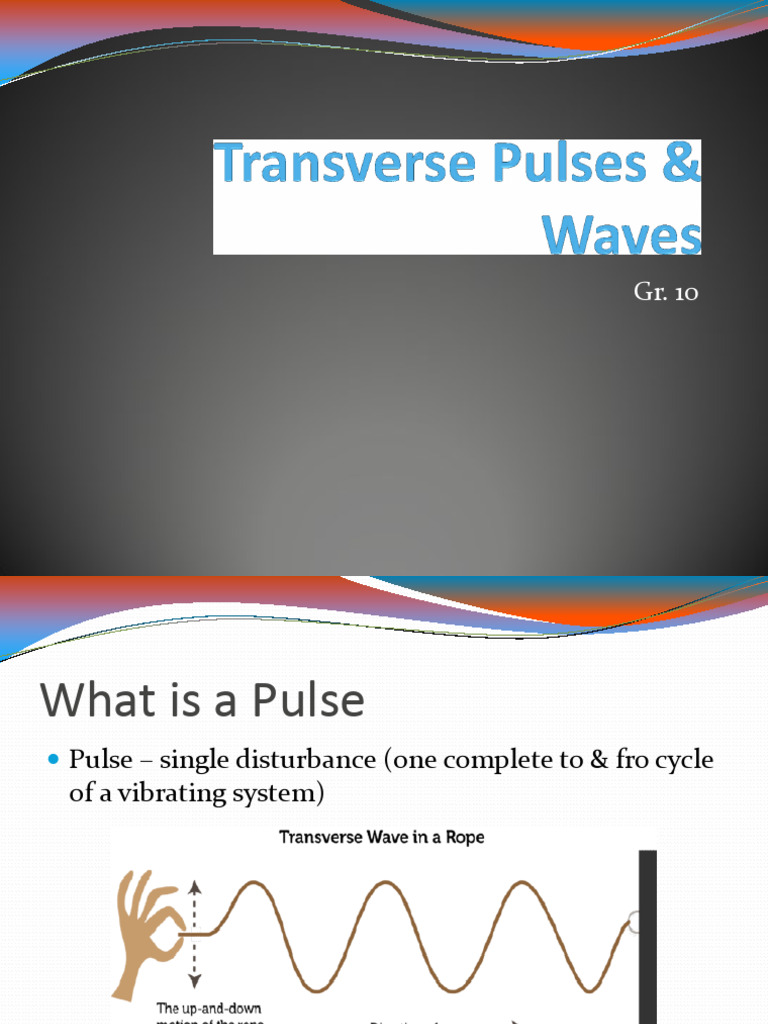 Transverse Pulses & Waves | Download Free PDF | Waves | Sound