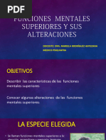 David Elkind | PDF | Pensamiento | Adolescencia