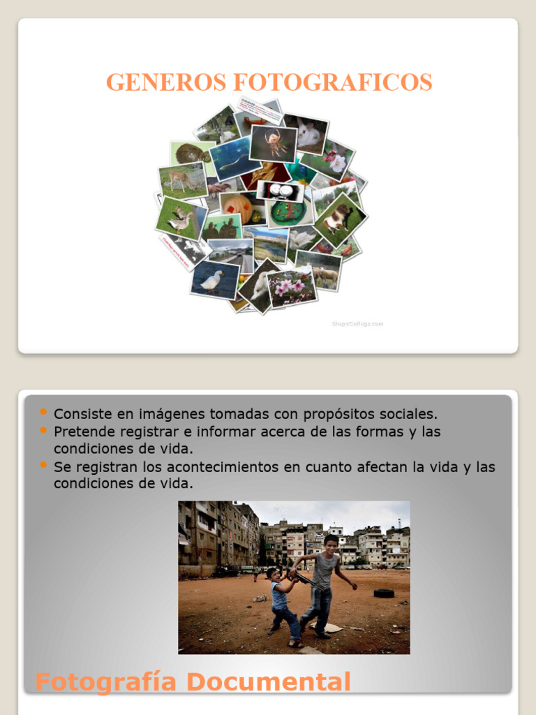 Tipos de Géneros Fotográficos | PDF | Arte