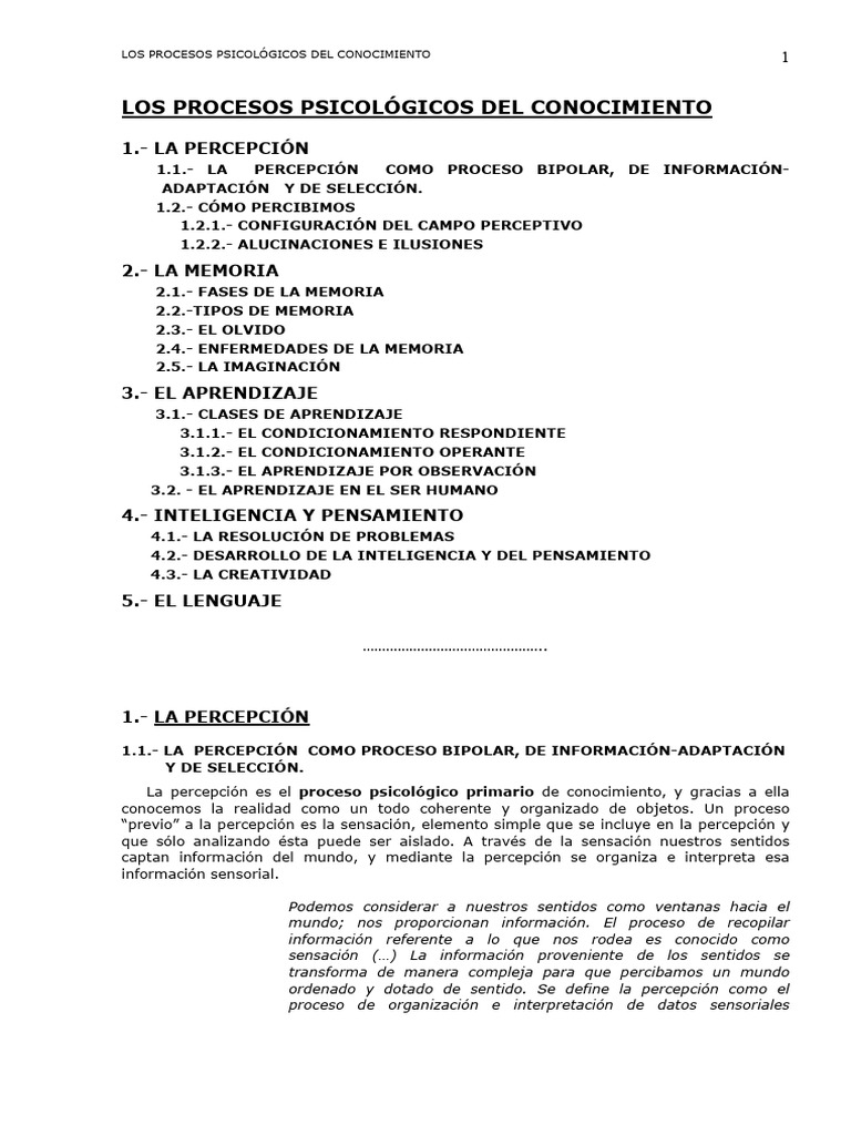 Tema 10. - Los Procesos Psicolã Gicos Del Conocimiento. | PDF | Memoria | Percepción