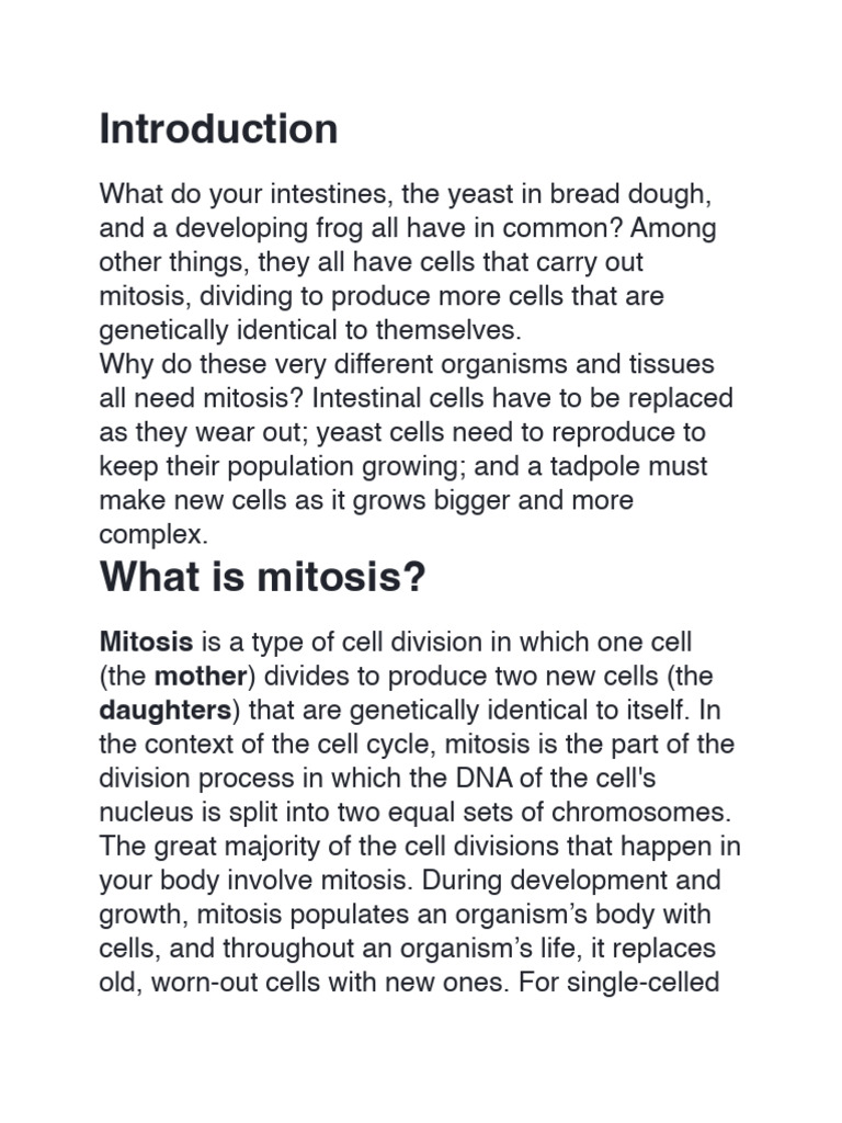 Mitosis Khan Academy | PDF | Mitosis | Cellular Processes