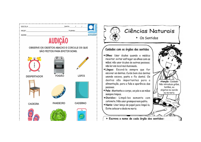 Atividades Sobre o Som 3ºano | PDF