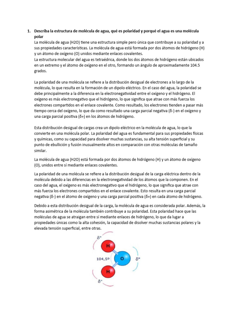 Agua y polaridad | Descargar gratis PDF | Polaridad química | Propiedades del agua