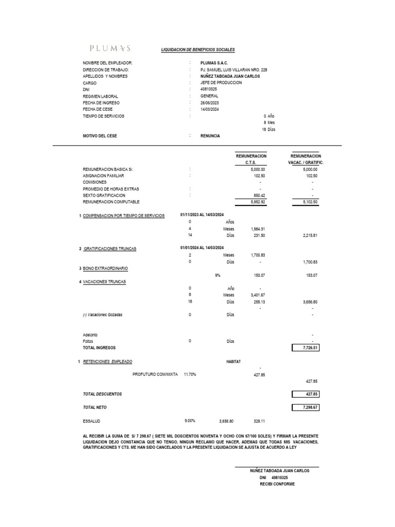 Liquidacion BBSS - Juan Nuñez | PDF