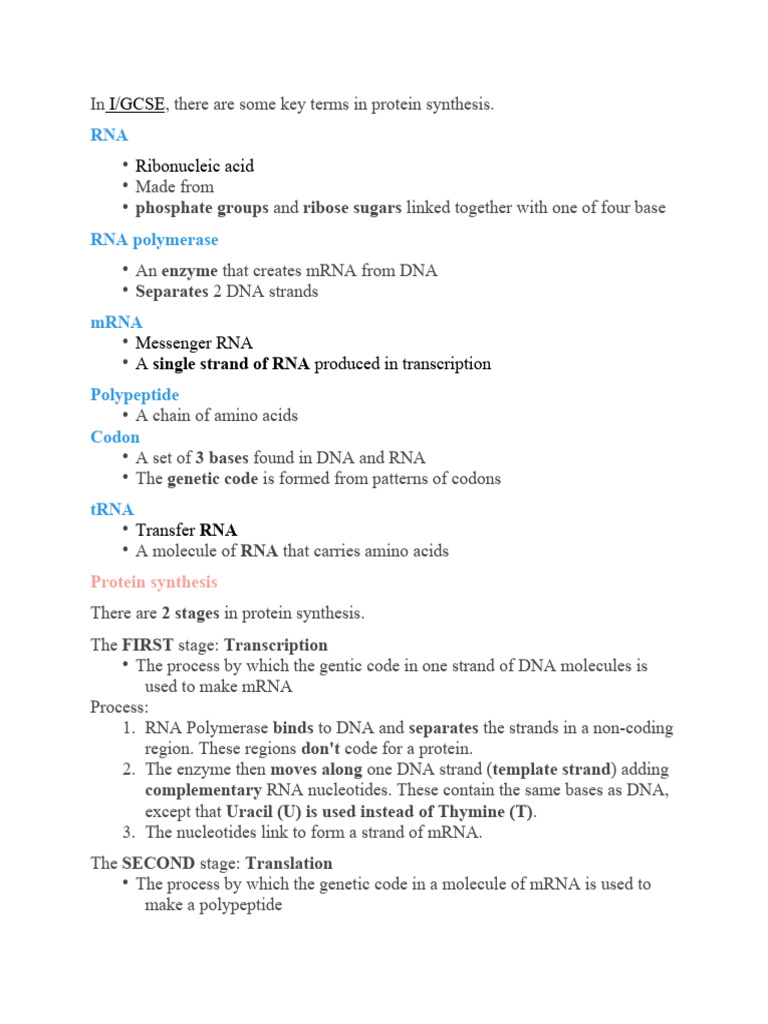 Protein Synthesis, Brief Note | PDF | Rna | Messenger Rna