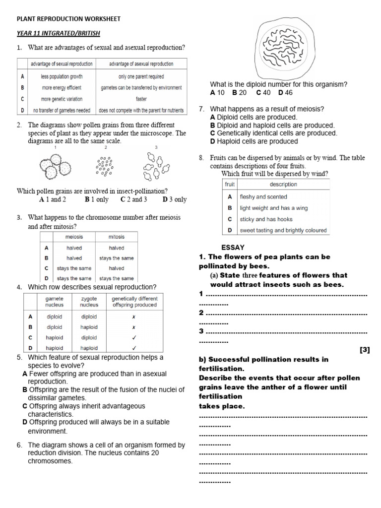 HUMAN REPRODUCTION WORKSHEET - IGCSE Past Papers | PDF | Sexual ...
