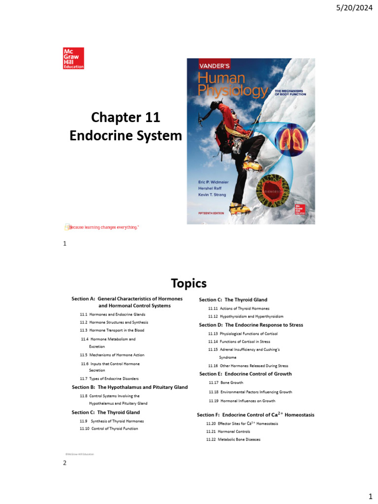 ch11 Human Endocrine System Vanders Human Physiology 15e Chap011 | PDF ...