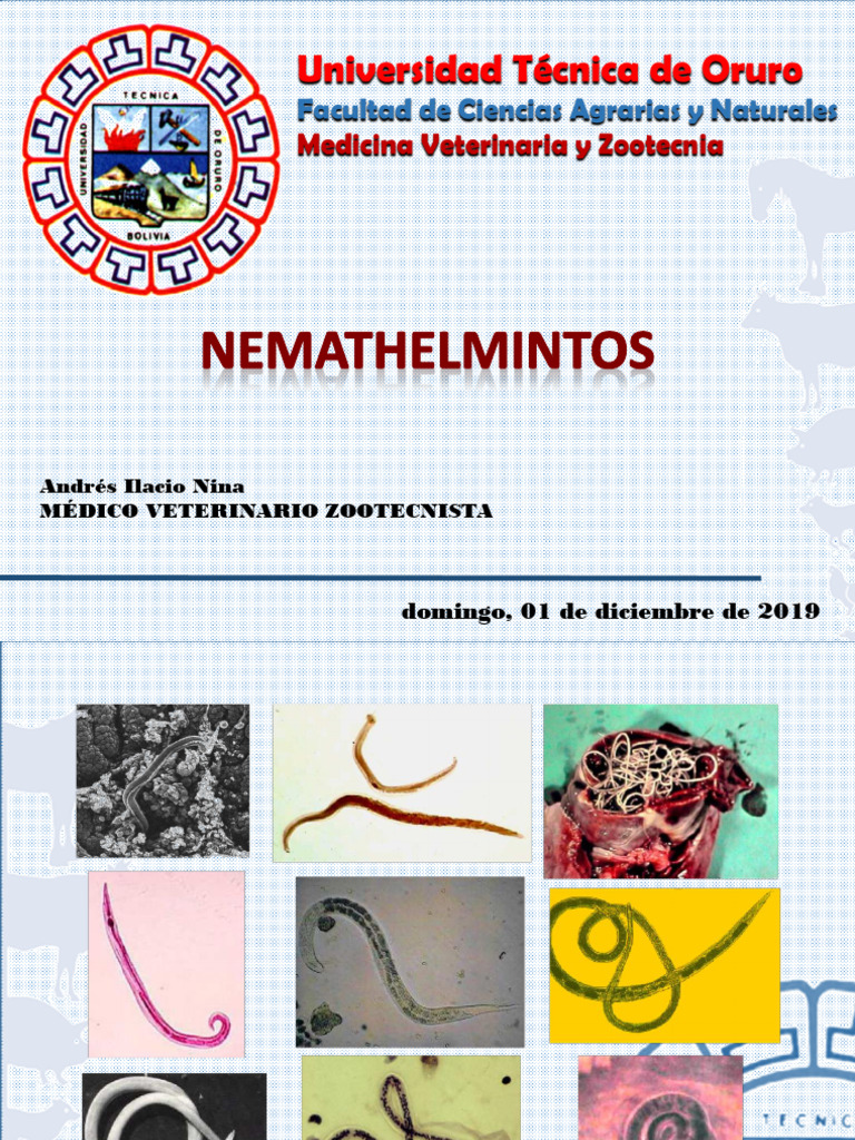 NEMATODOS | PDF | Nematodo