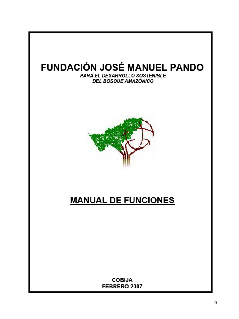 Manual Funciones Fundación Pando | PDF | Contabilidad | Marketing