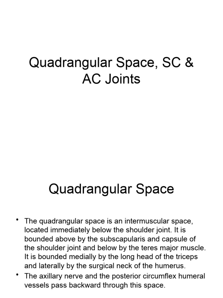 Quadrangular Space, SC and AC Joints | PDF | Joints | Human Anatomy