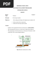 Activity Sheet Where Do Plants Live | PDF | Plants | Habitat