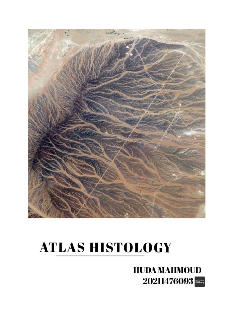 Huda Mahmoud 2021147603 | PDF