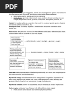 IGCSE Geography Notes On Rivers | PDF | River | Erosion