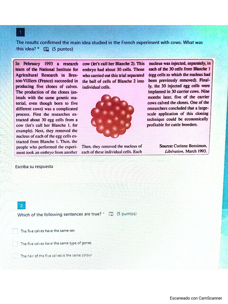 Unit 7 Extra Activities | PDF