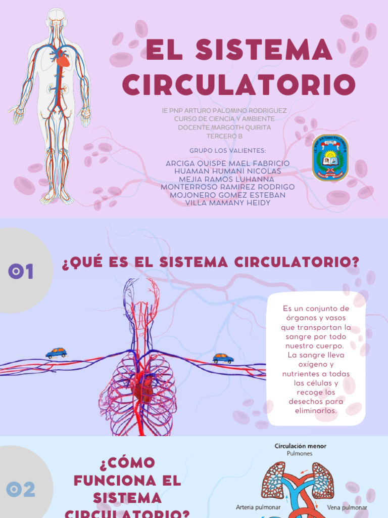 Diapositivas Sistema Circulatorio | Descargar gratis PDF | Sistema ...