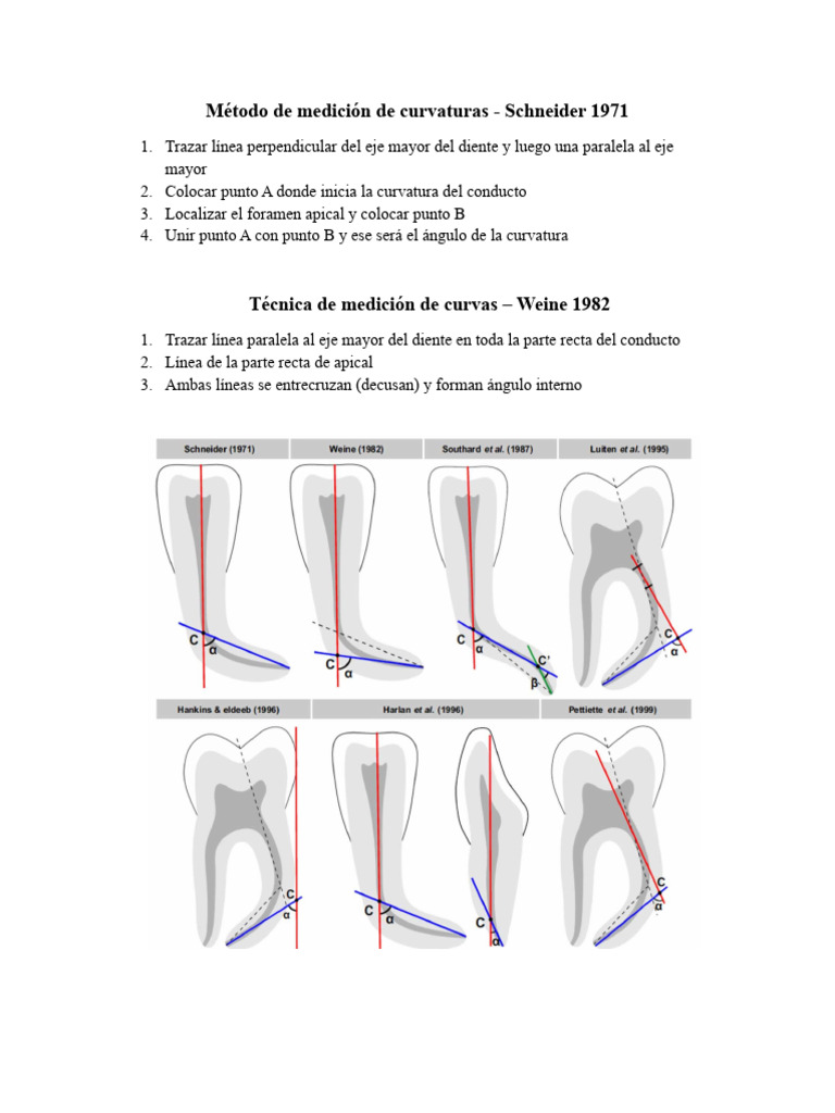 Angulo Curvatura - Schneider | PDF