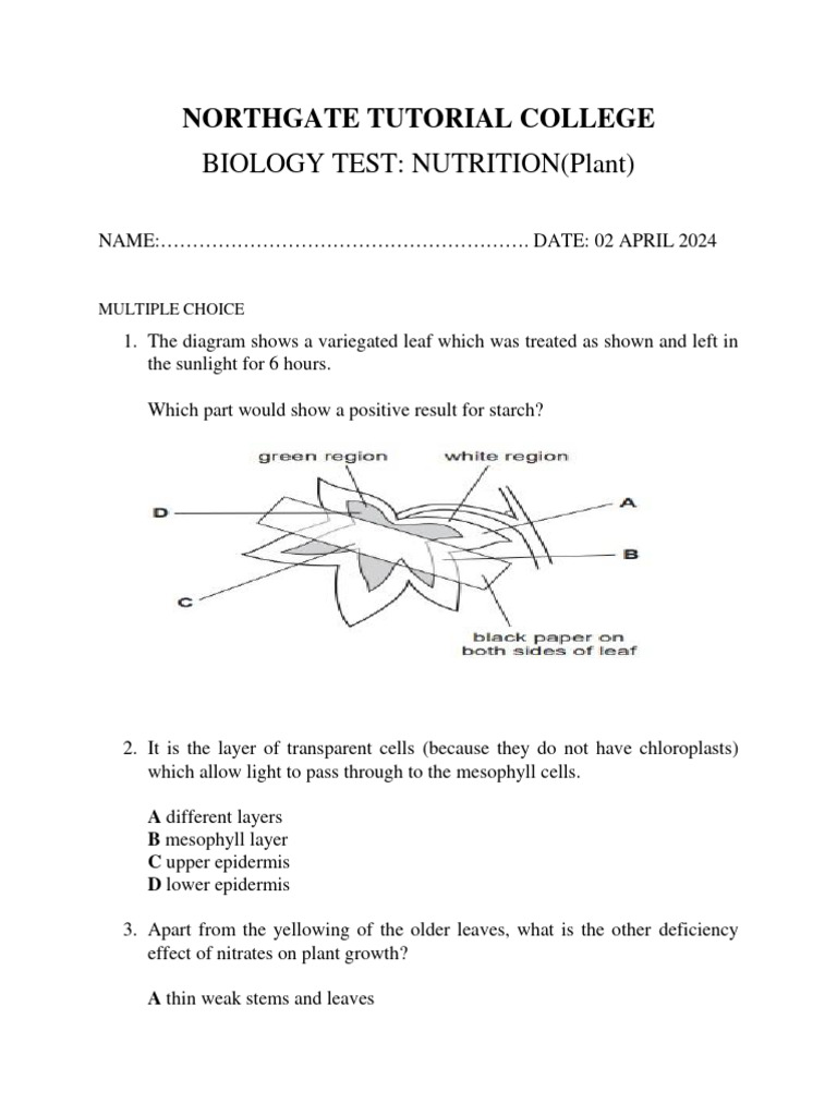 NORTHGATE TUTORIAL COLLEGE Nutrition (Plant) | PDF | Leaf | Nutrition