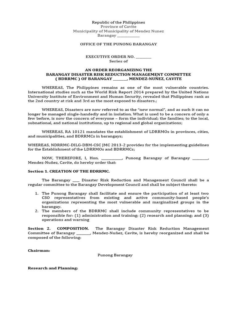 Barangay Disaster Risk Reduction and Management Council | PDF ...
