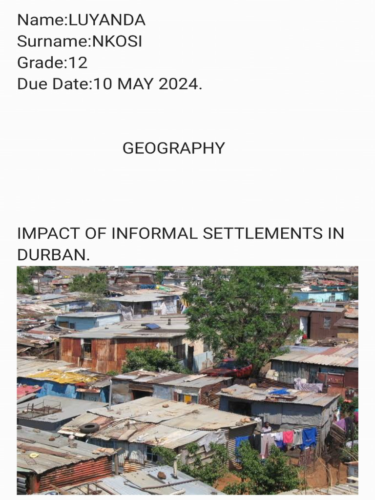 Impact of Informal Settlement in Durban _240510_123449 | PDF