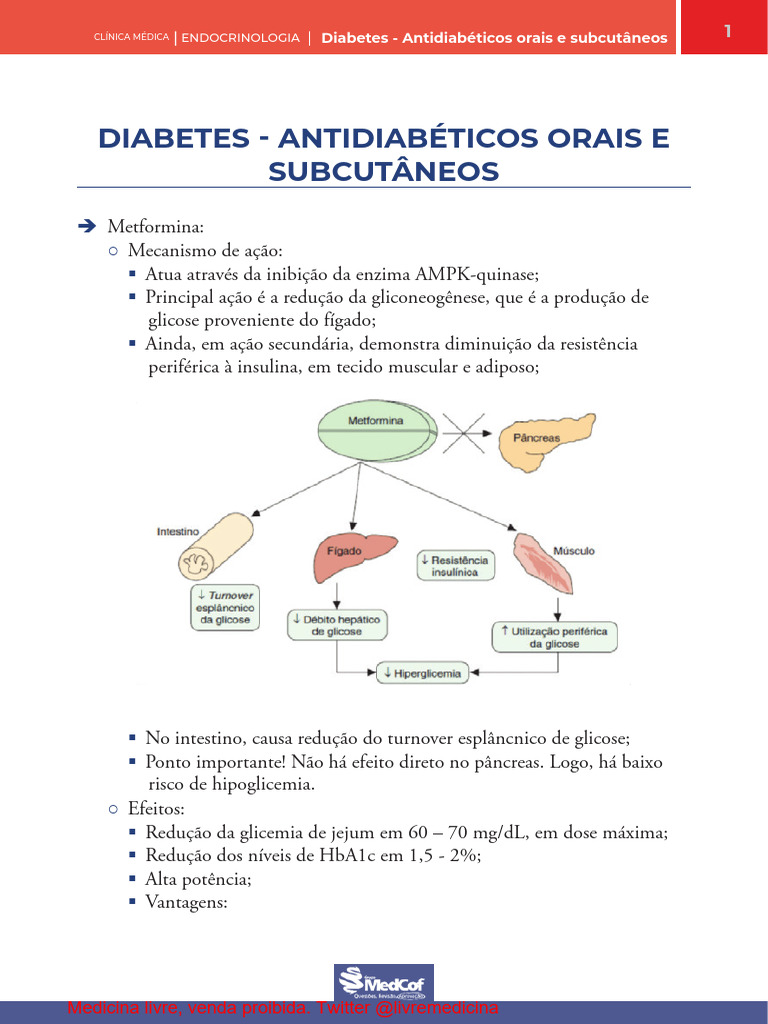 Antidiabéticos Orais e Subcutâneos: Guia Completo | PDF | Diabetes ...