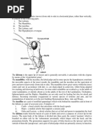Insect Orders Identification Key | PDF | Insects | Arthropods