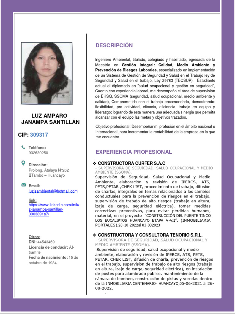 CV Luz-Janampa Ssoma | PDF | Seguridad y salud ocupacional