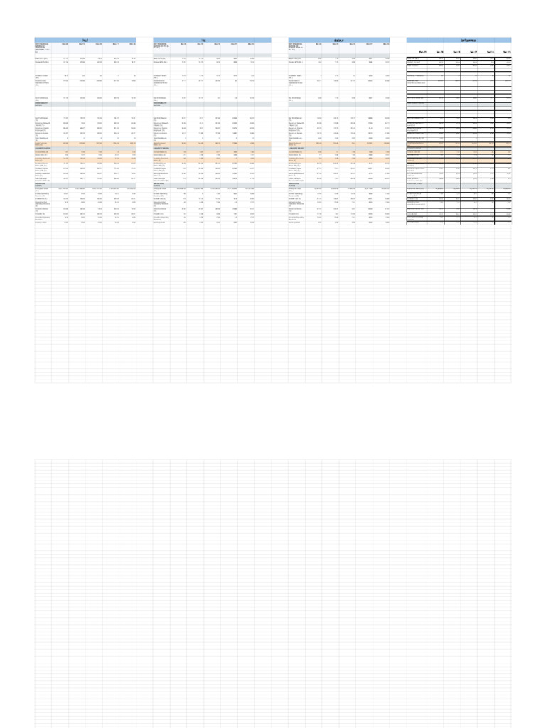 Operational Analysis Pdf Equity Finance Net Worth