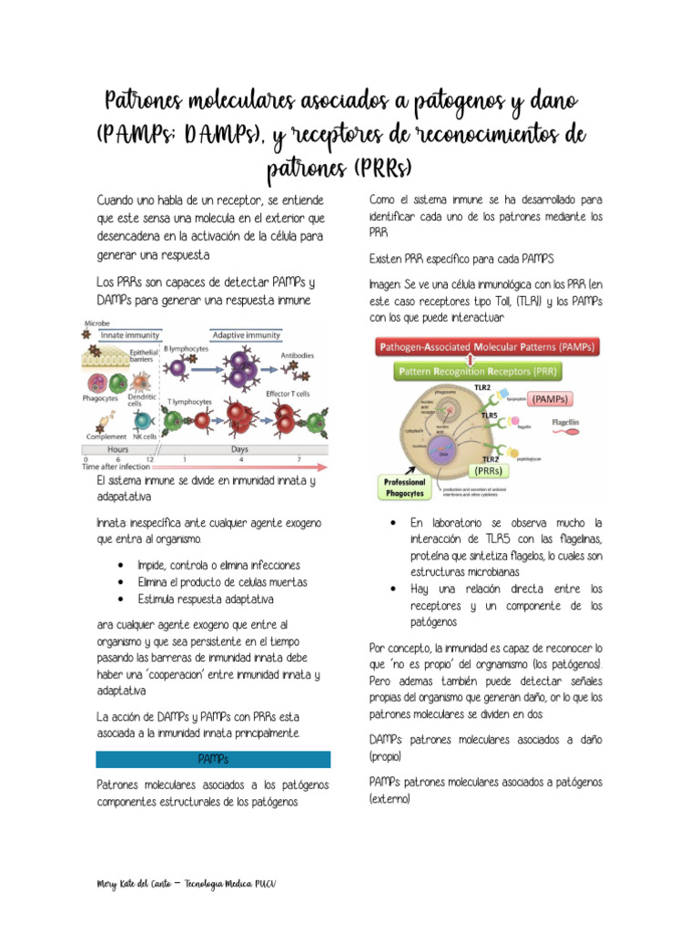 PAMPs, DAMPs y PRRs | PDF | Receptor de peaje | Sistema inmune