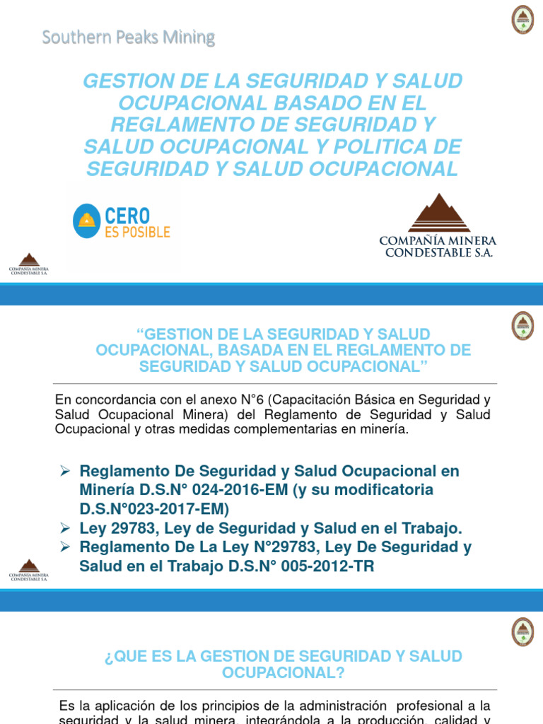 Gestion de La Seguridad y Salud Ocupacional Basado en El Reglamento de Seguridad y Salud ...