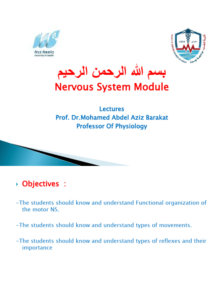 8 - Motor Reflexes | PDF | Motor Neuron | Skeletal Muscle
