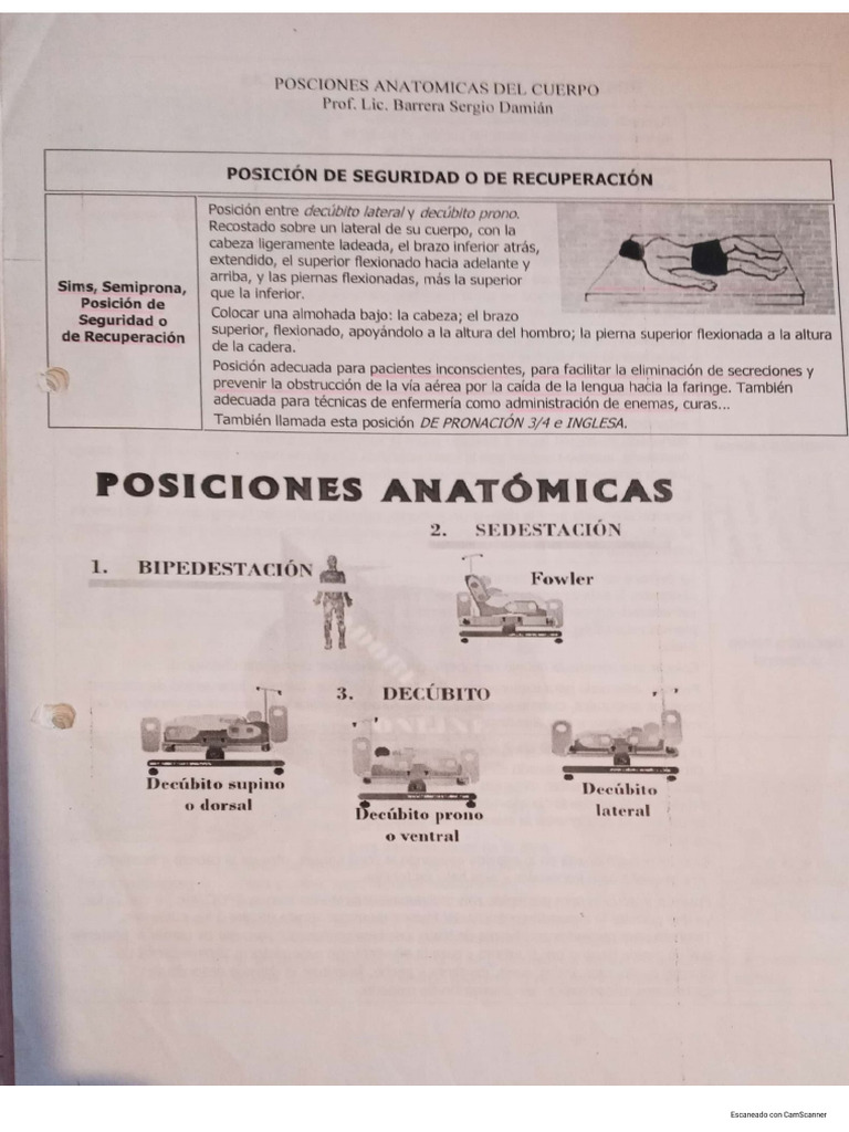 Posiciones Anatomicas | PDF
