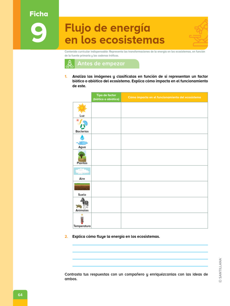 Secpfcien 2 Fisla | PDF | Ecosistema | Red alimentaria