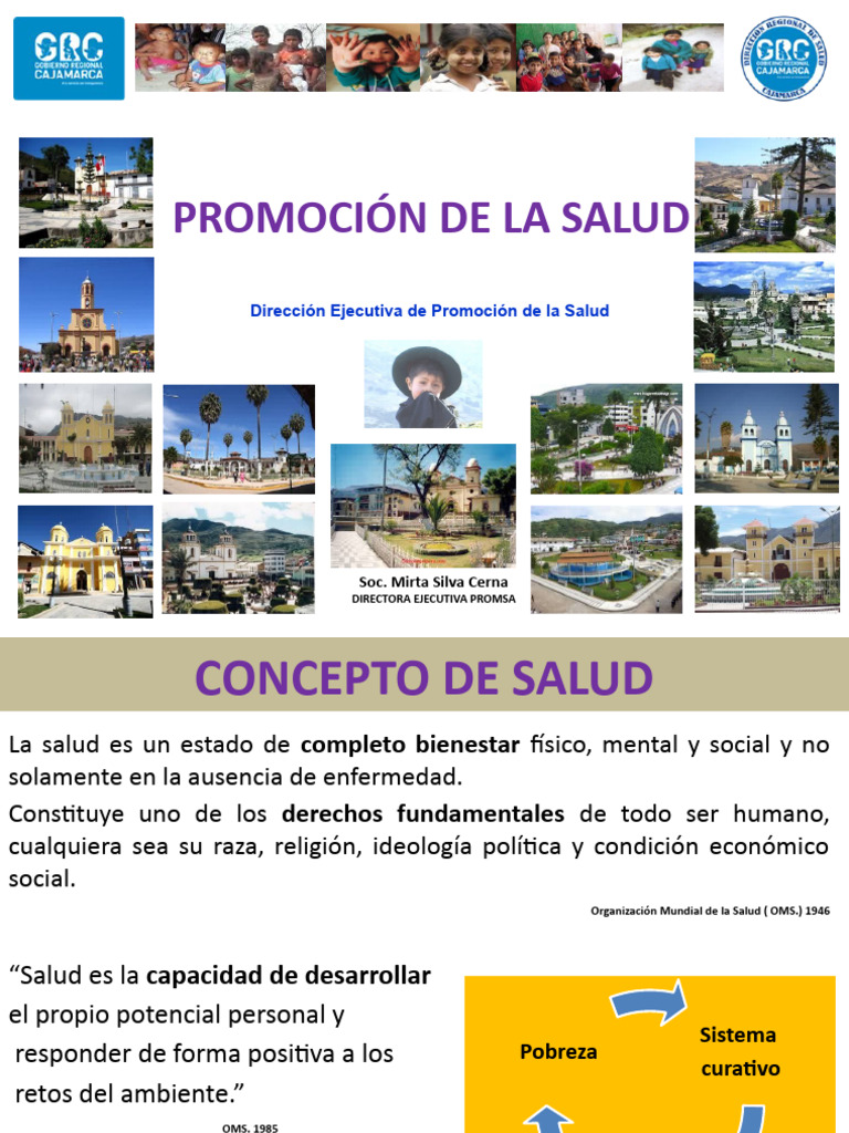 PROMSA Y DETERMINANTES SOCIALES (3) | Descargar gratis PDF | Promoción ...