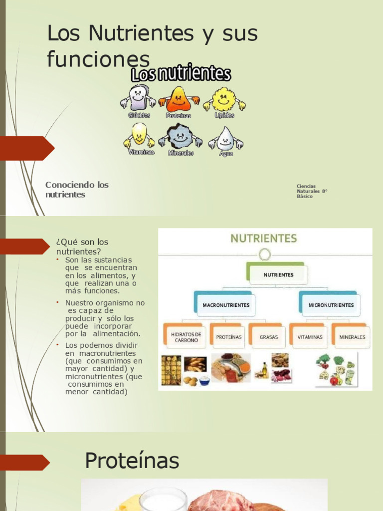 Funciones de los Nutrientes Esenciales | PDF | Alimentos | Carbohidratos