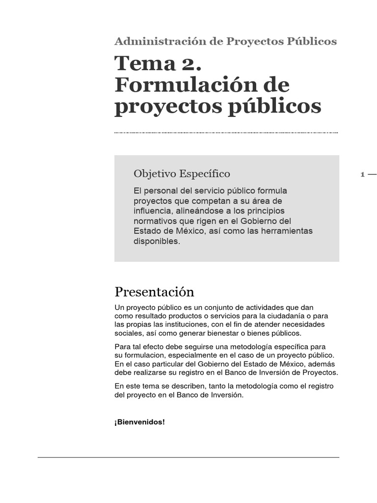 Tema 2. Formulación de Proyectos Publicos | PDF | Presupuesto ...