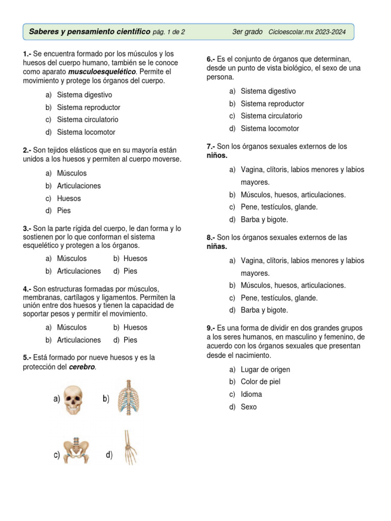 Examen-1 | Descargar gratis PDF | Sistema musculoesquelético humano ...