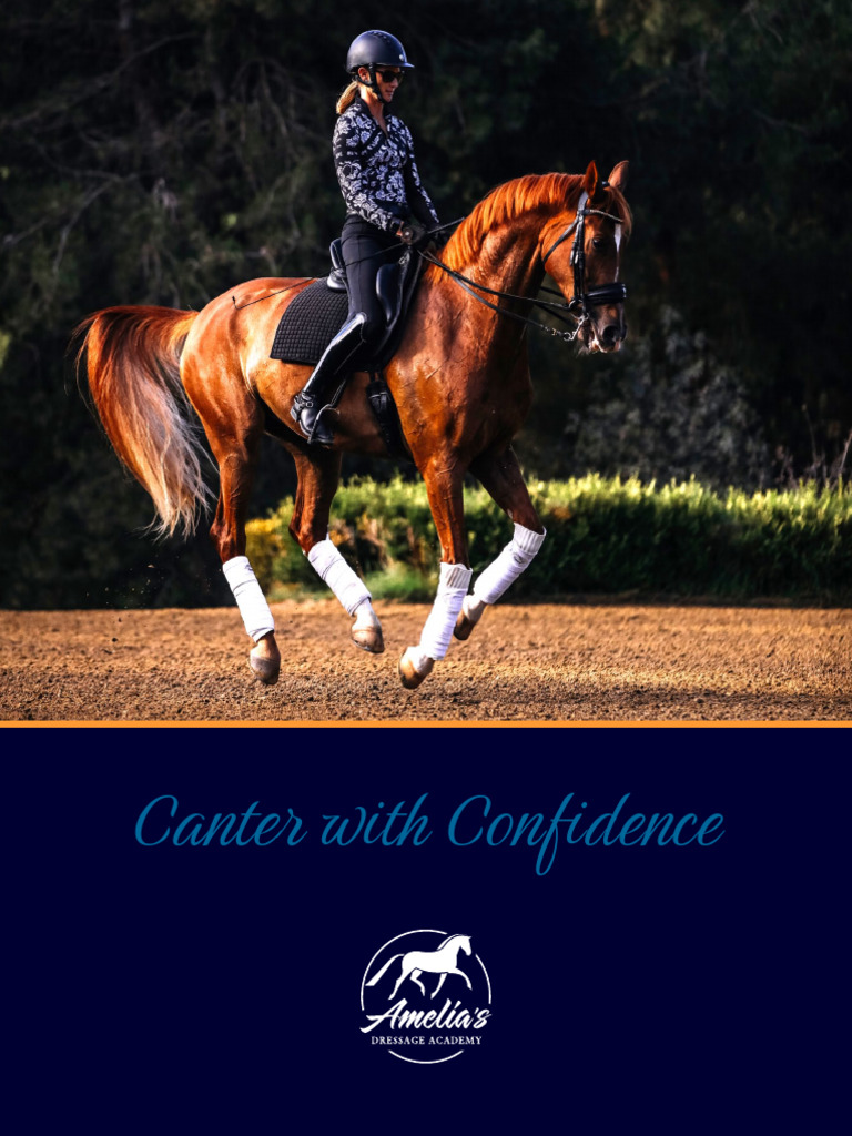 The Canter Guide Amelia Newcomb Dressage | PDF | Horse Gait | Animal ...