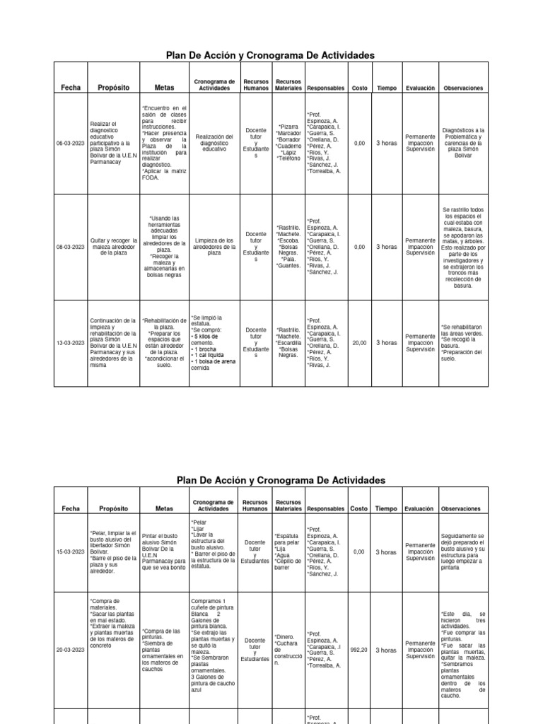 Plan De Accion Y Cronograma De Actividades Pdf Pinturas