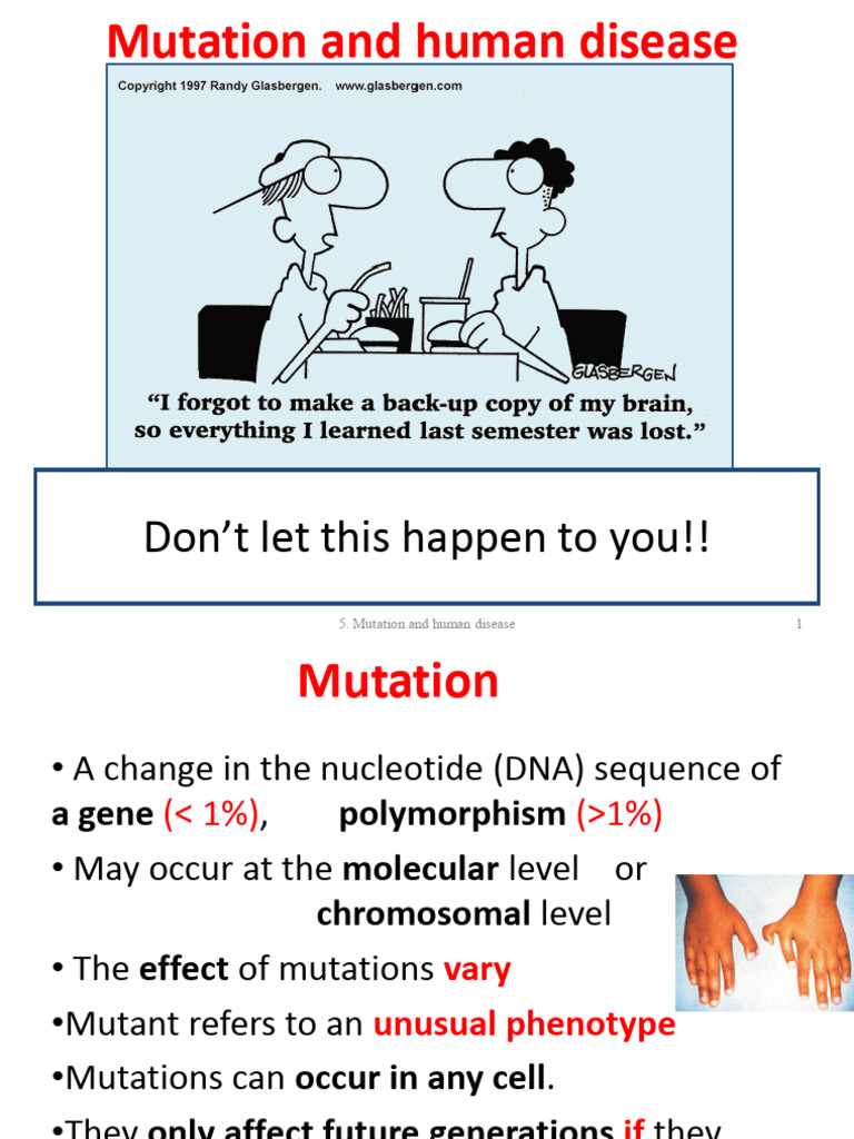 A._Assaf._5 | PDF | Mutation | Genetic Code
