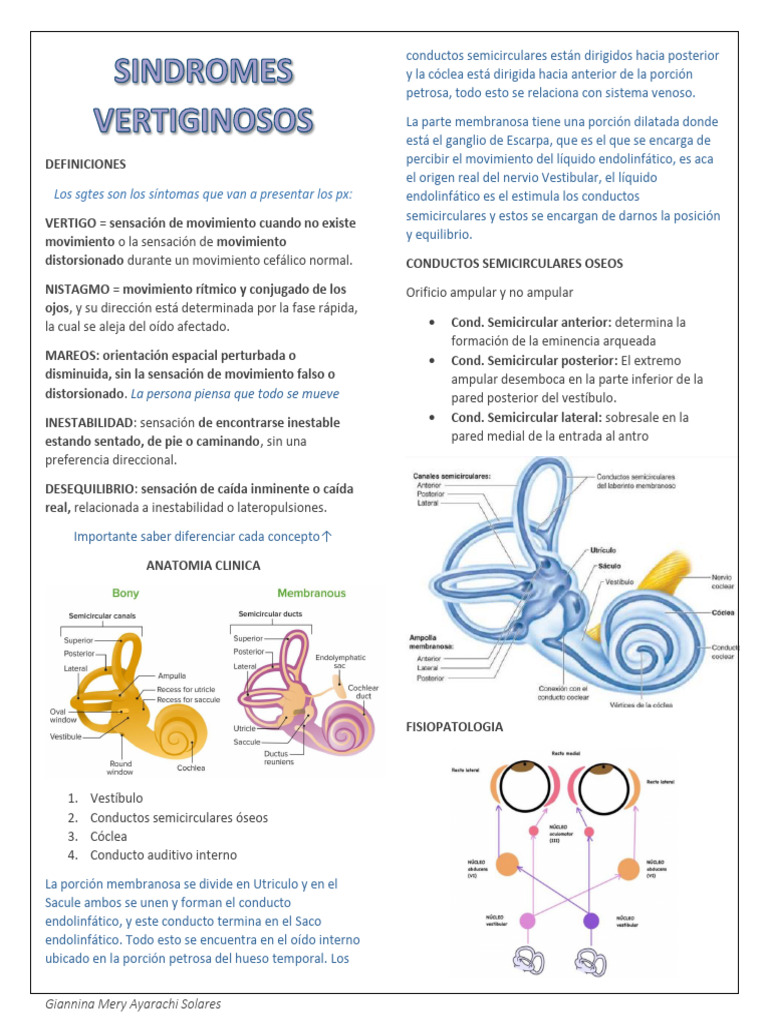 Síndromes y síntomas vertiginosos | PDF | La enfermedad de Meniere ...