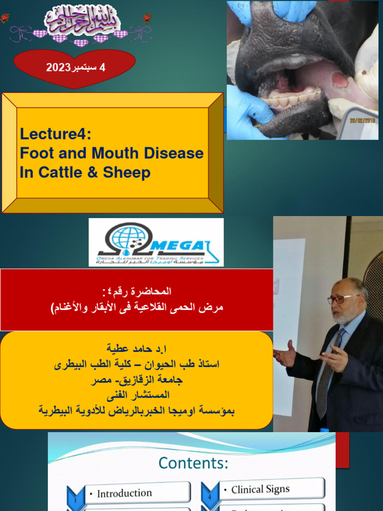 FMD in Cattle & Sheep | PDF | Electrocardiography | Clinical Medicine