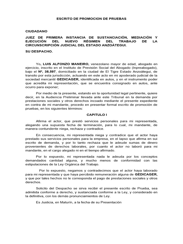 Escrito de Promocion de Pruebas | PDF