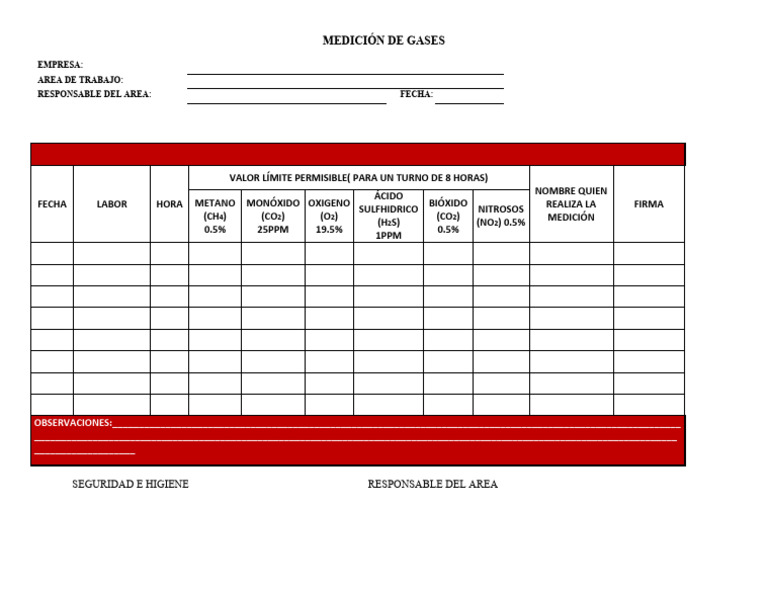 Formato Medicion de Gases | PDF