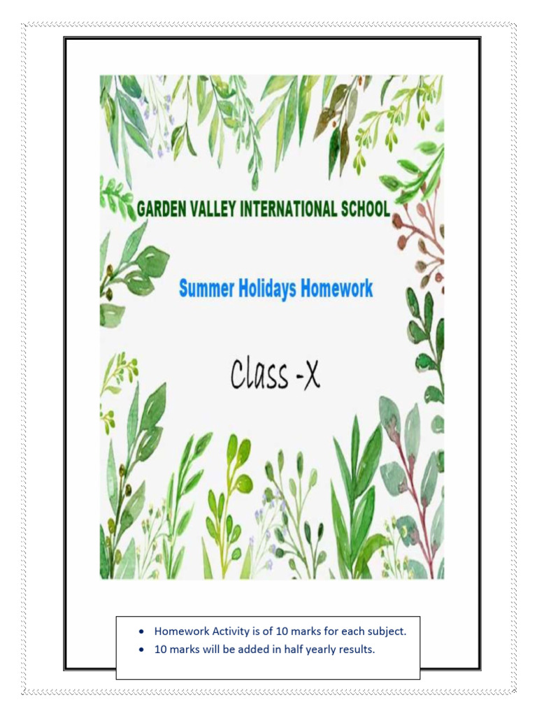 Class -x Holidays Homework (2024-25) | PDF | Chemical Reactions | Redox