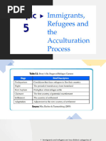 Berry Acculturation Model | PDF
